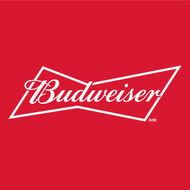 The Beer Guy